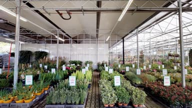 Blumenladen in Luxemburg: Die besten Floristen & Blumengeschäfte in der ...