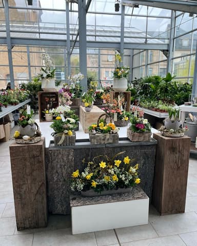 Blumengeschafte In Der Nahe
