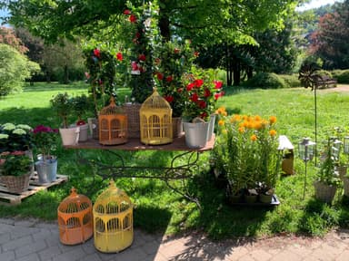 Blumengeschafte In Der Nahe