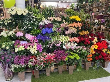 Blumengeschafte In Der Nahe