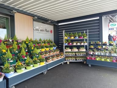 Blumengeschafte In Der Nahe