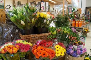 Flower Shop in Luxembourg: Find the Best Florists Near You — Luxtoday.lu