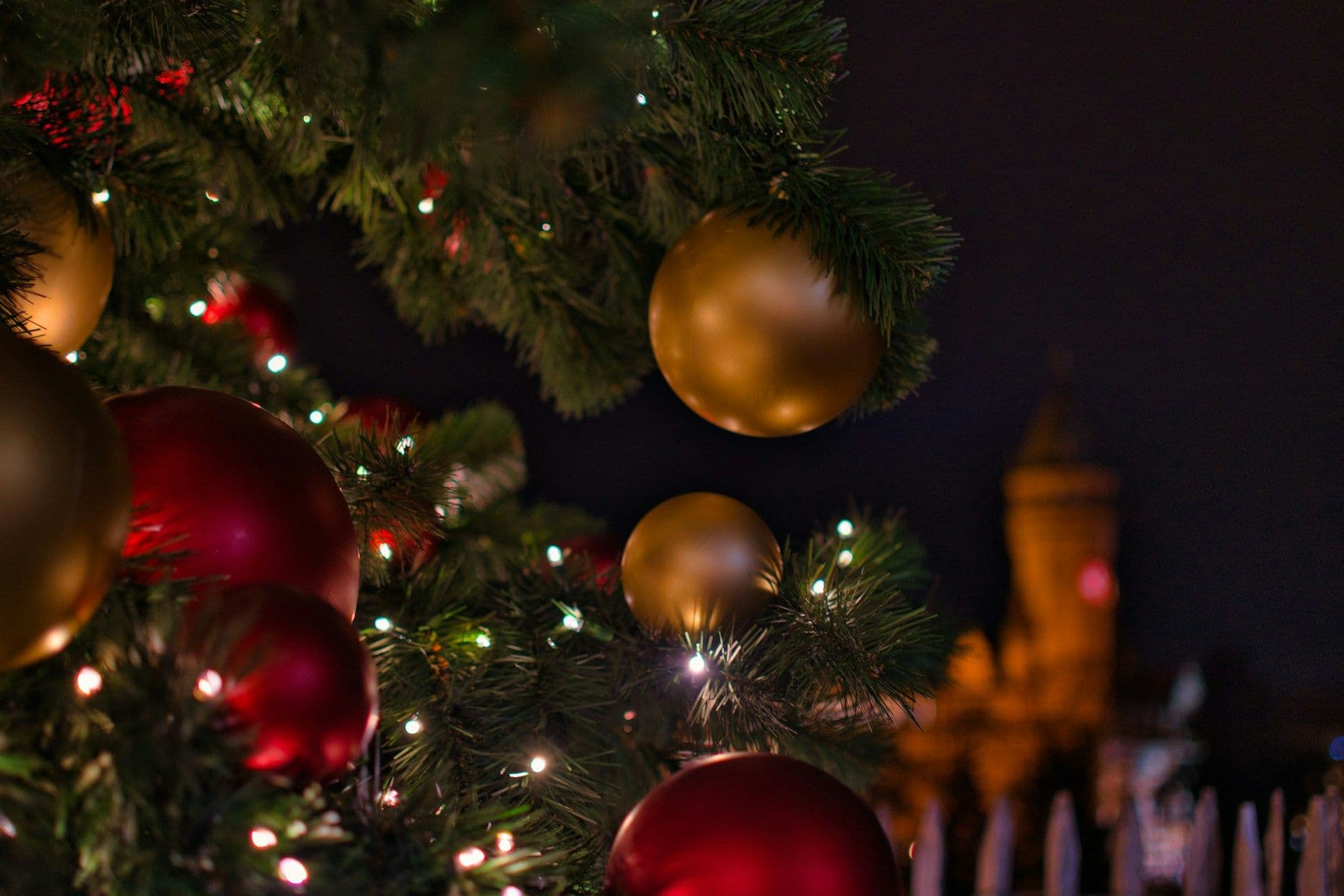 What to do on Christmas in Luxembourg — Festivities Guide — Luxtoday.lu