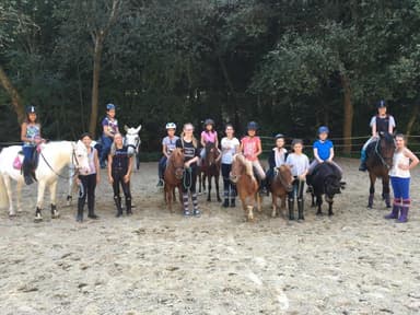 Horse Clubs And Horse Riding in Luxembourg: Lessons, Stables, More ...