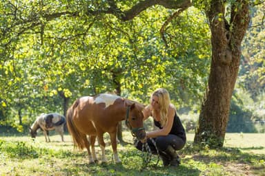 Horse Clubs And Horse Riding in Luxembourg: Lessons, Stables, More ...
