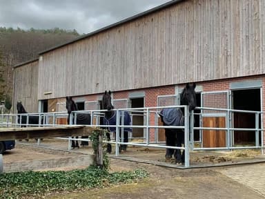 Horse Clubs And Horse Riding in Luxembourg: Lessons, Stables, More ...