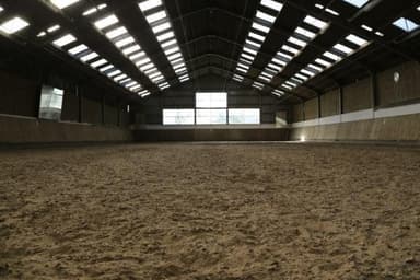 Horse Clubs And Horse Riding in Luxembourg: Lessons, Stables, More ...